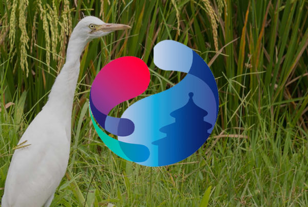 Home | Constellation Technologies